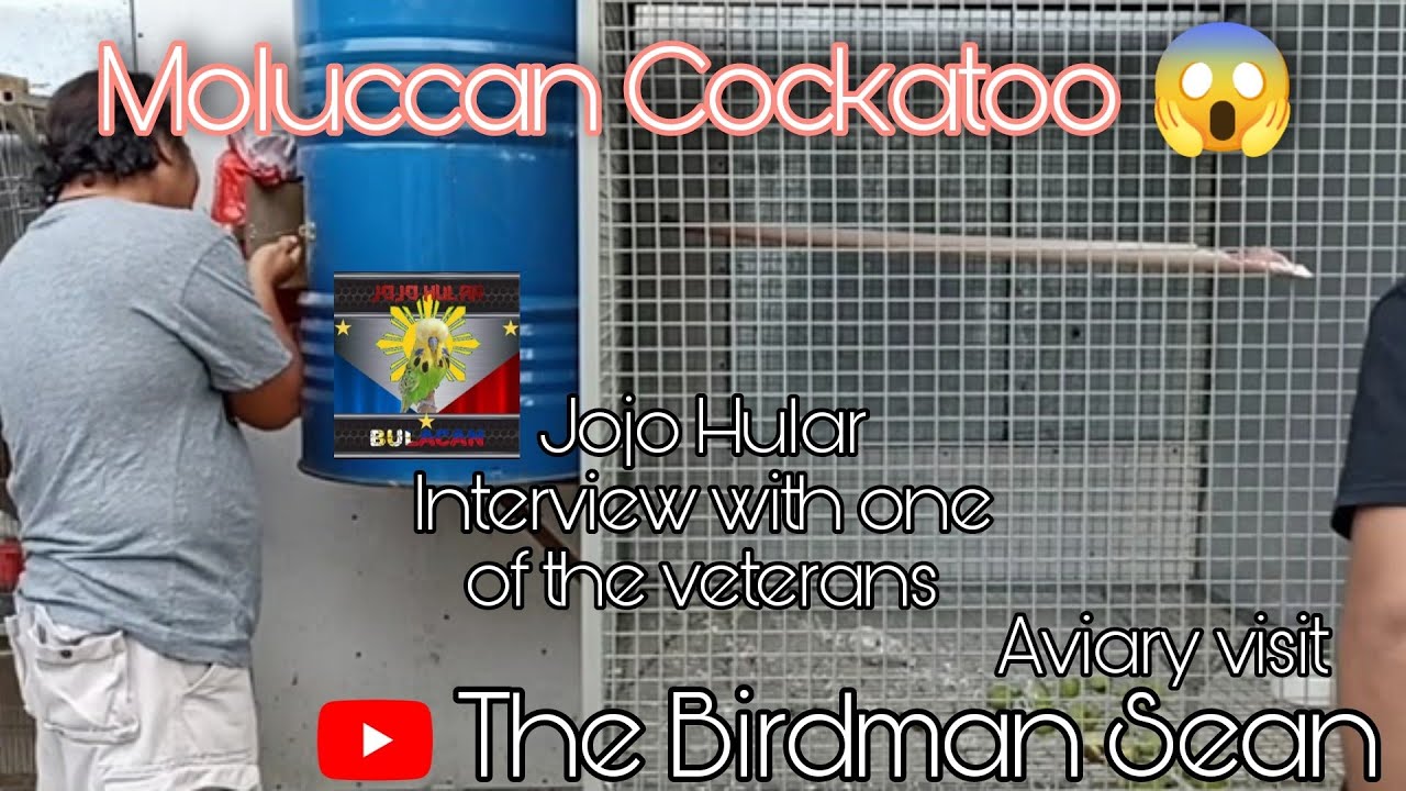 THE BIRDMAN SEAN | AVIARY VISIT | MALAYA BIRD ENTHUSIAST BULACAN ...