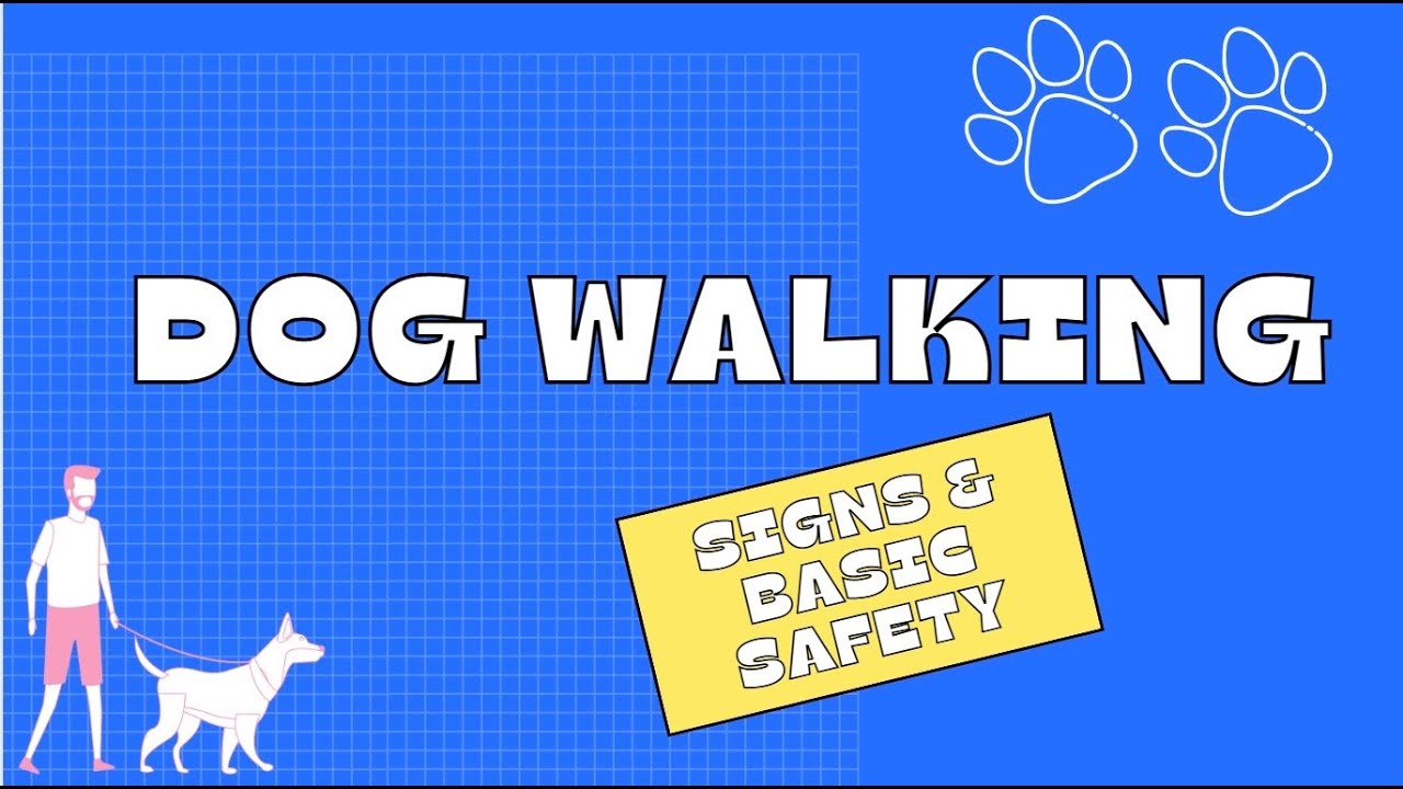 Dog Walking - Safety and Signs - YouTube