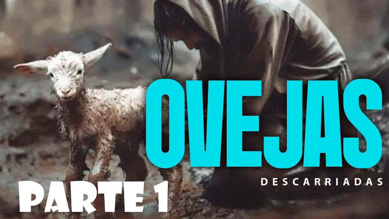 OVEJAS DESCARRIADAS PT1, 25 de febrero 2024 - YouTube