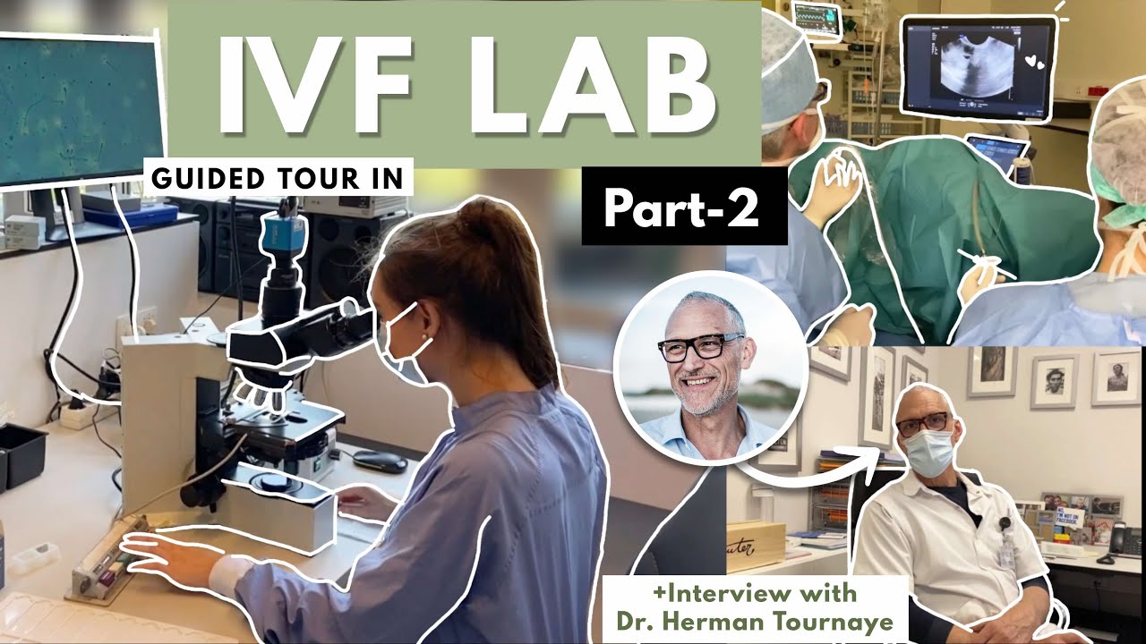 Gegidste Rondleiding in het IVF Lab! + interview met topdokter ...