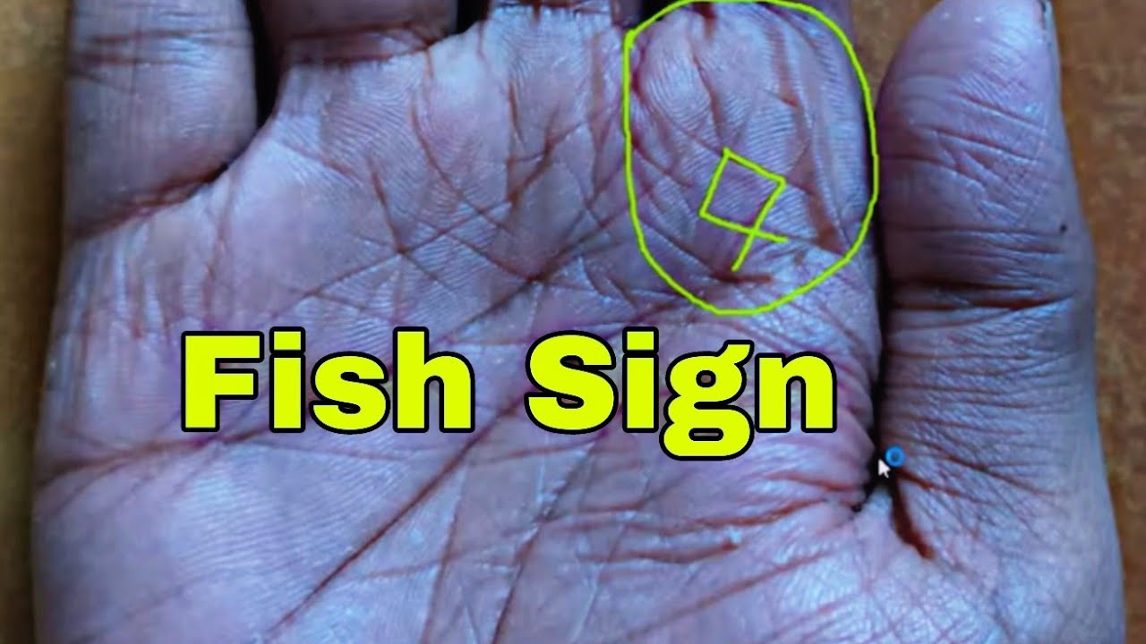 হাতের রেখায় Jupiter Mount মৎস্য চিহ্ন|Fish Sign On Hand - YouTube