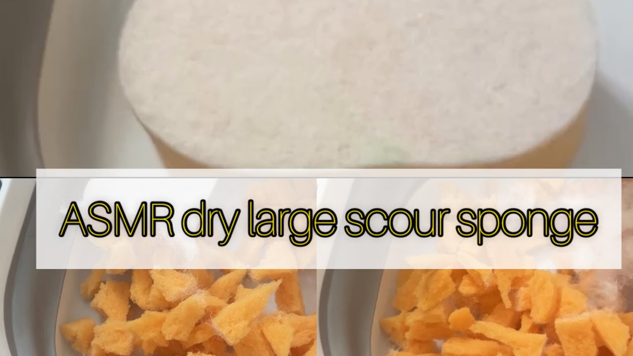 ASMR | Dry Sponge Week | large scour kitchen utility sponge | blooper ...