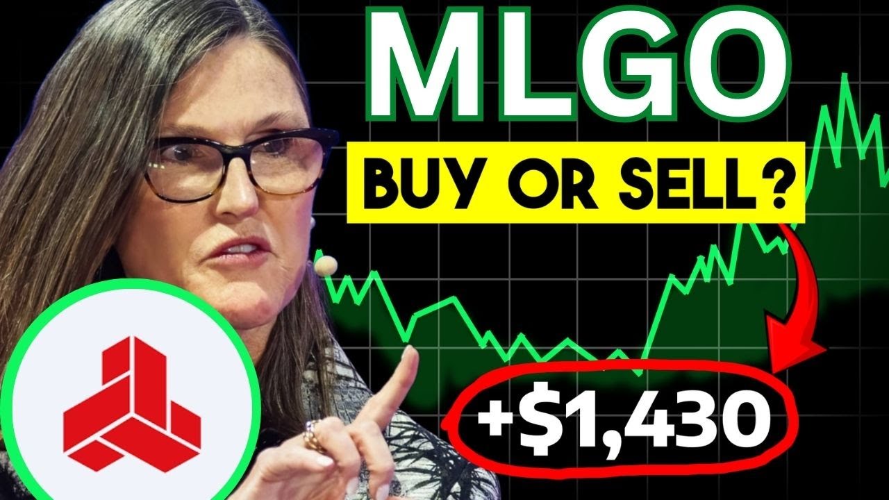 MLGO Stock MONDAY CRAZY! (buying time?) MicroAlgo stock analysis broker ...
