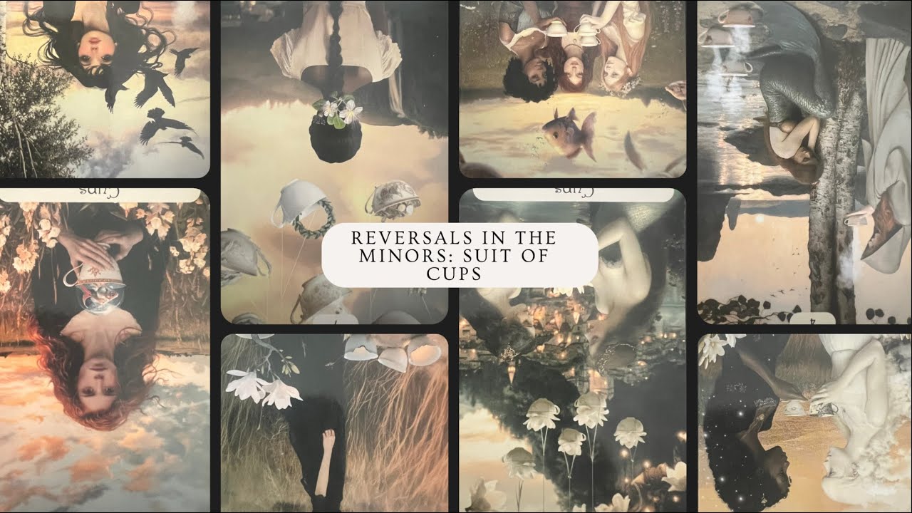 Read like a Pro_ Reversals in the Minors Suit of Cups - YouTube