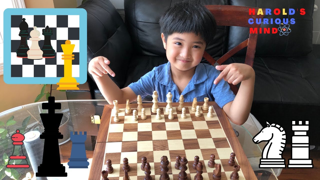 How To Play Chess !! Basic Chess Game For Kids !! Harold's Curious Mind ...