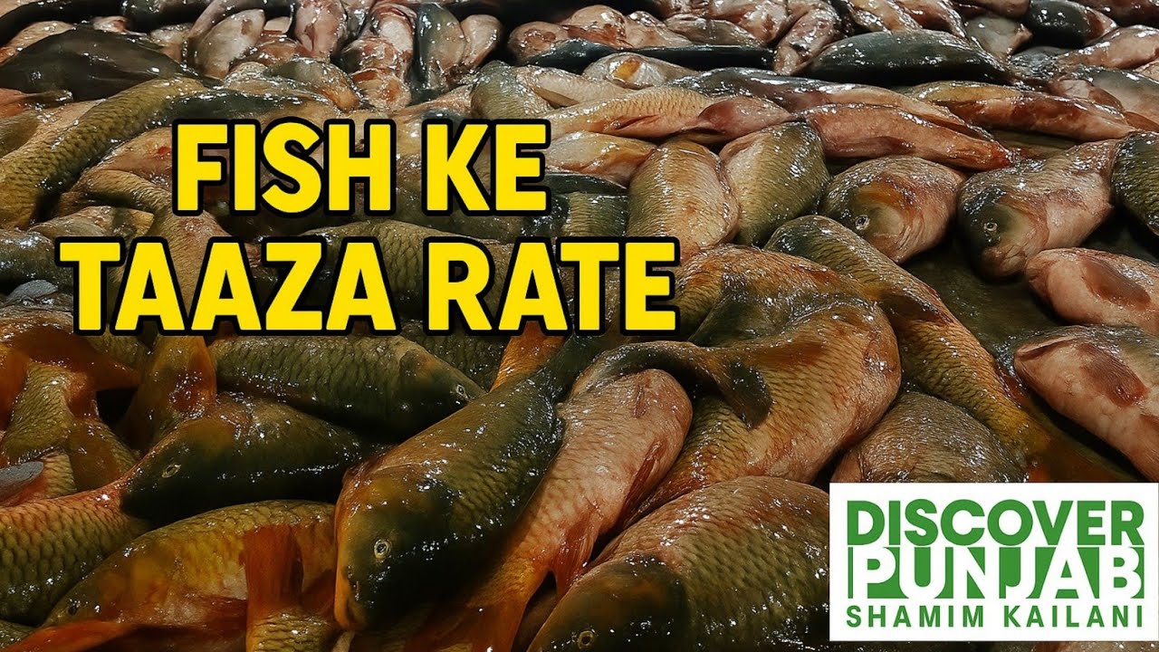 🔥 Pakistan Biggest Fish Market | Fresh Fish Rates Today | Hazrat ...