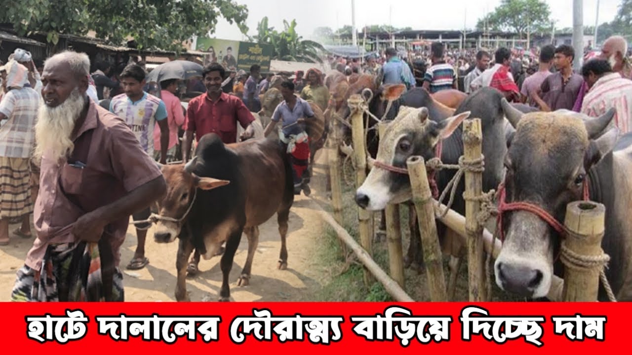 দালালের প্রভাব কোরবানির পশুর হাটে | Bangla News | 27 June 2023 ...
