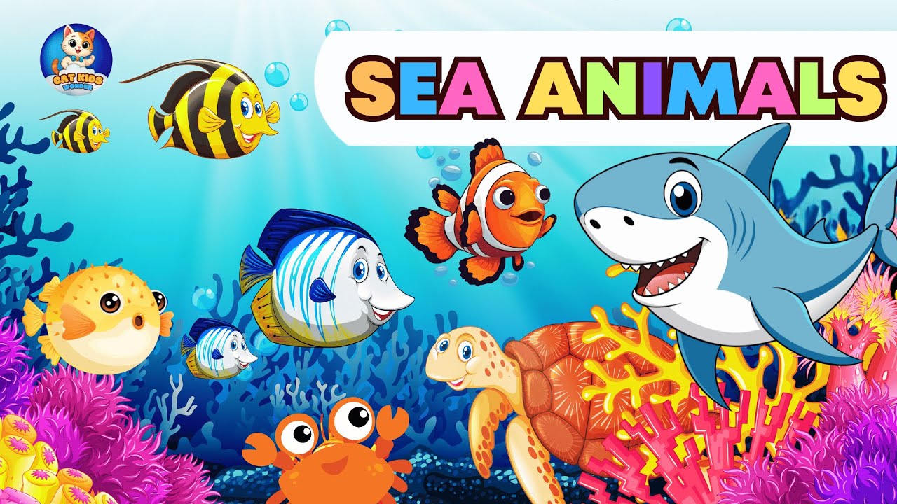 🐳 Learn Types of Sea Animals for Kids | Educational Videos for Toddlers ...