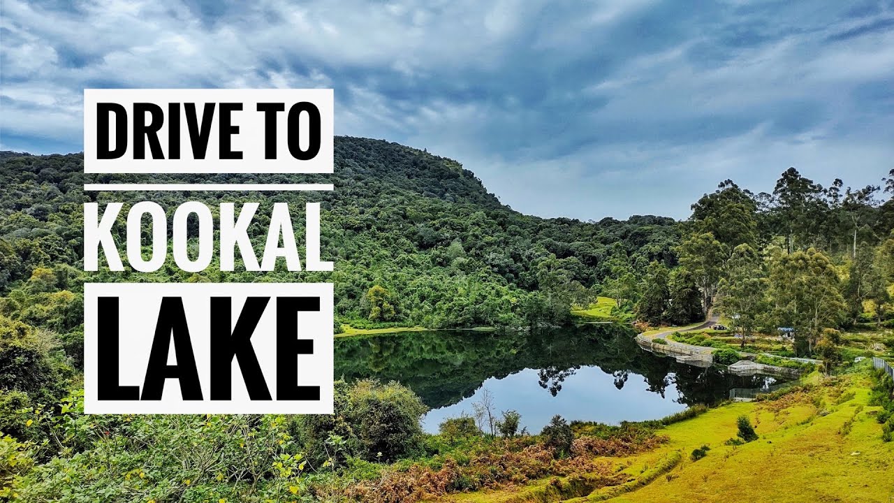 Driveway to Kookal lake | Tata Nexon 2020 | Kodaikanal - YouTube