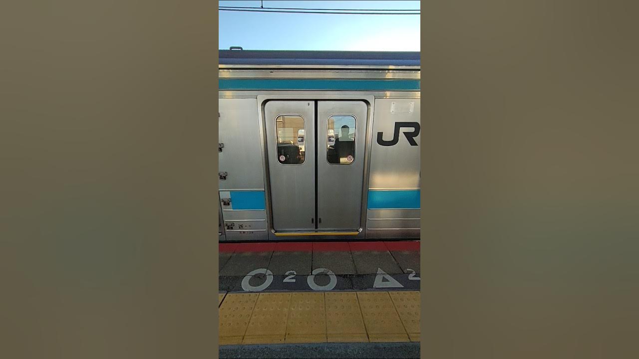 JR西日本奈良線205系0番台NE402編成車両のドア開閉。新田駅 - YouTube