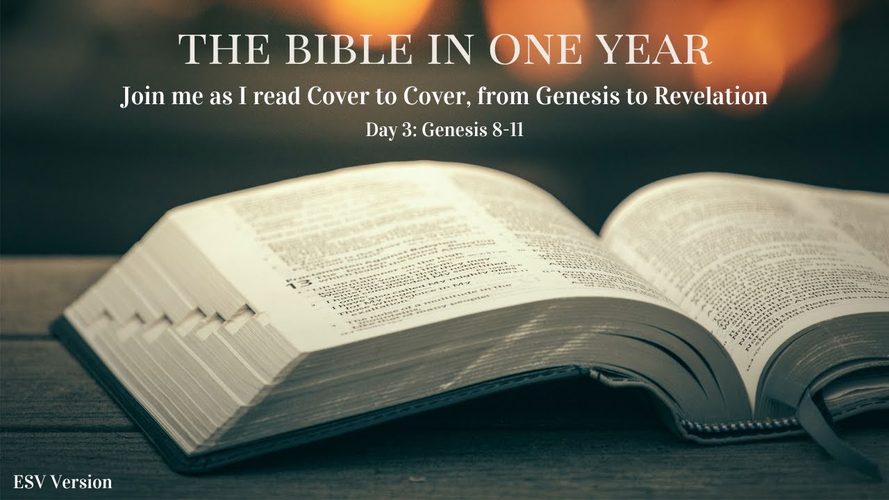 The Bible In One Year - Day 3 Genesis 8-11 - YouTube
