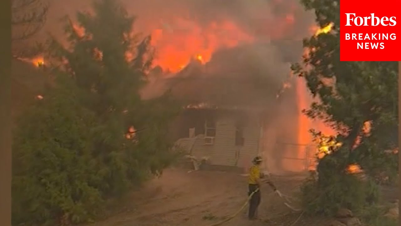 Footage Shows The Forsyth Forest Fire Raging Through Pine Valley, Utah ...