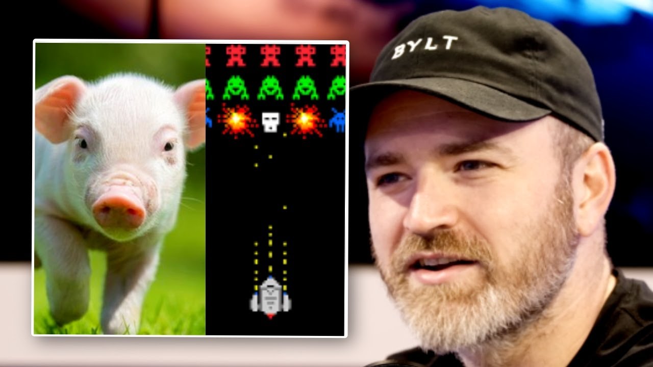 Pigs Have Started Playing Video Games Too... - YouTube