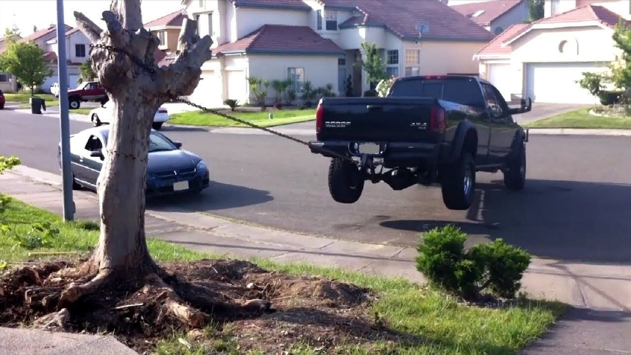 Dangerous Tree Cutting Fails With Chainsaw In Action - Incredible ...