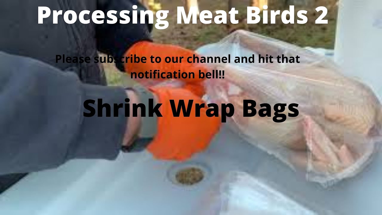 Processing Meat Birds Part 2 (Shrink Wrap Bags) - YouTube