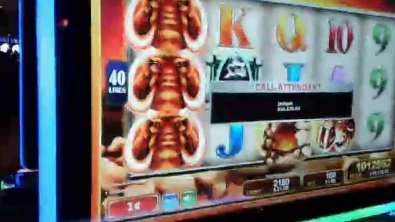 I sat down to play a slot machine and this happened - YouTube