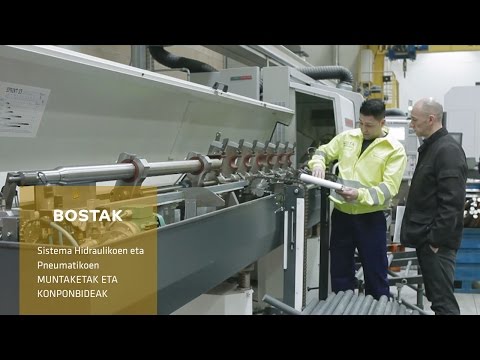 BOSTAK: Sistema Hidraulikoen eta Pneumatikoen Muntaketak