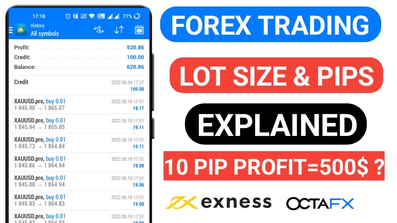 Lot Size in Forex Trading | What is Lot Size,Types of lot size, margin ...