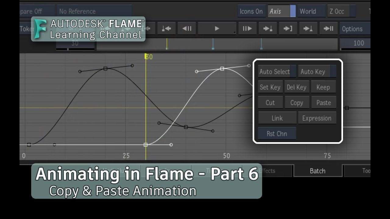 Animating in Flame - P6 - Copy & Paste Animation - Flame 2020.3 - YouTube