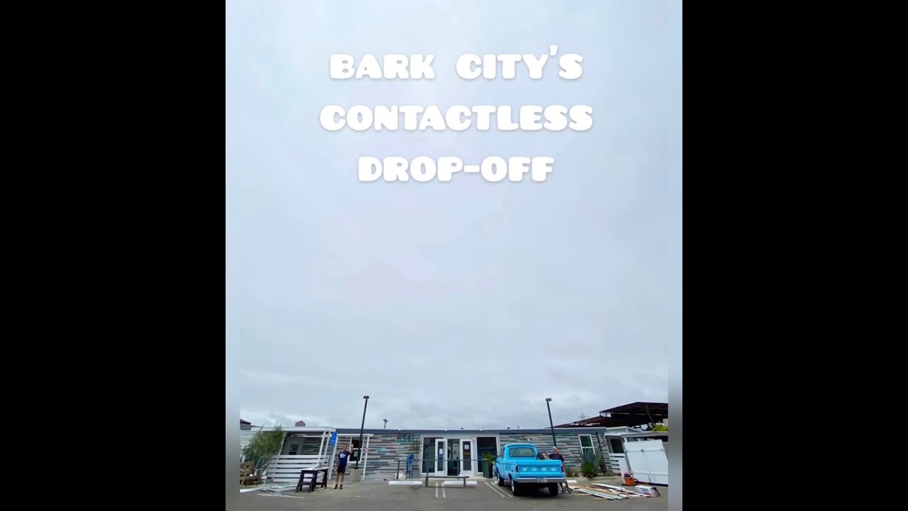 Bark City Update 5:29:20! - YouTube