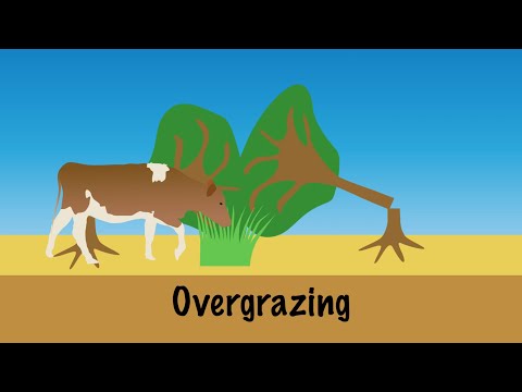 What Is Overcropping In Science