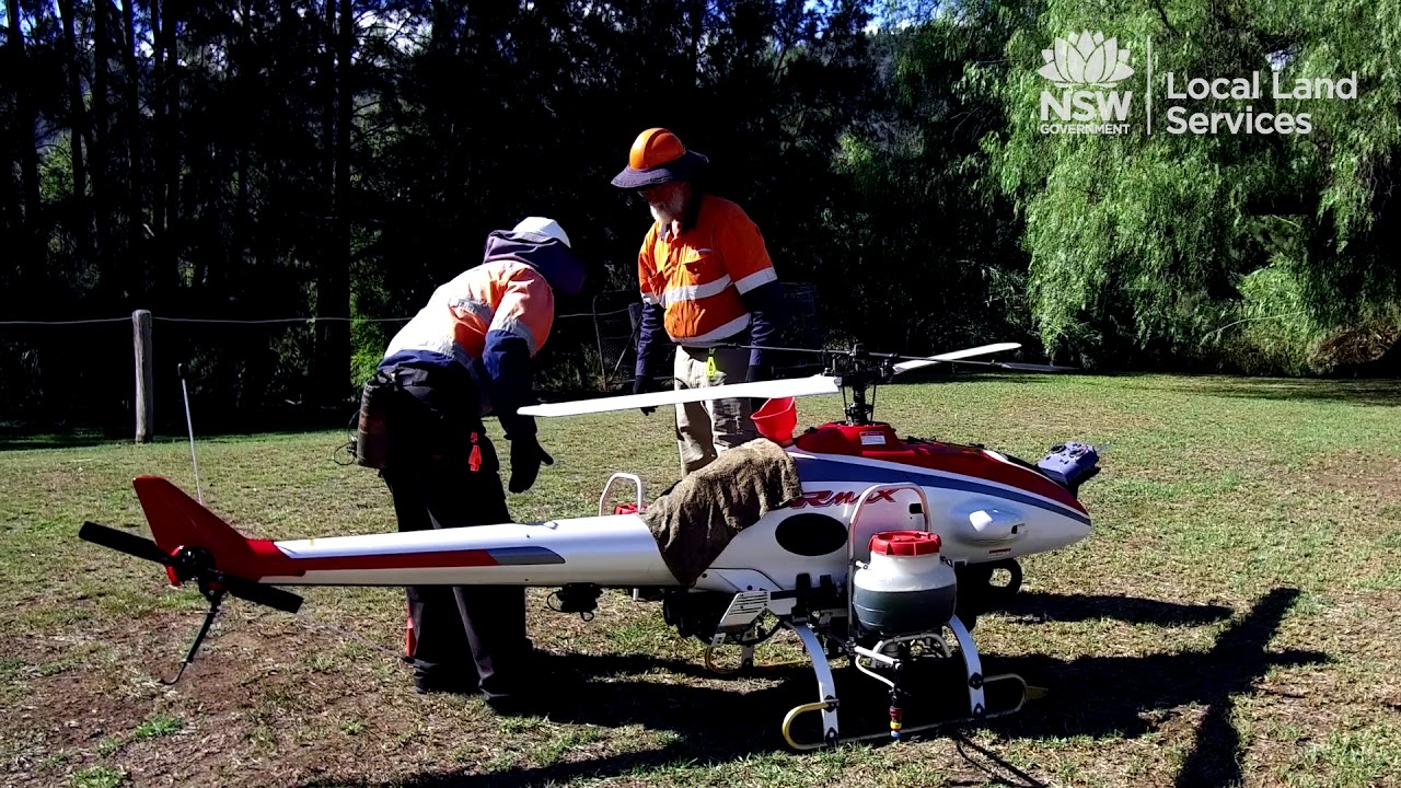 Hunter LLS Wild Reed Project - YouTube