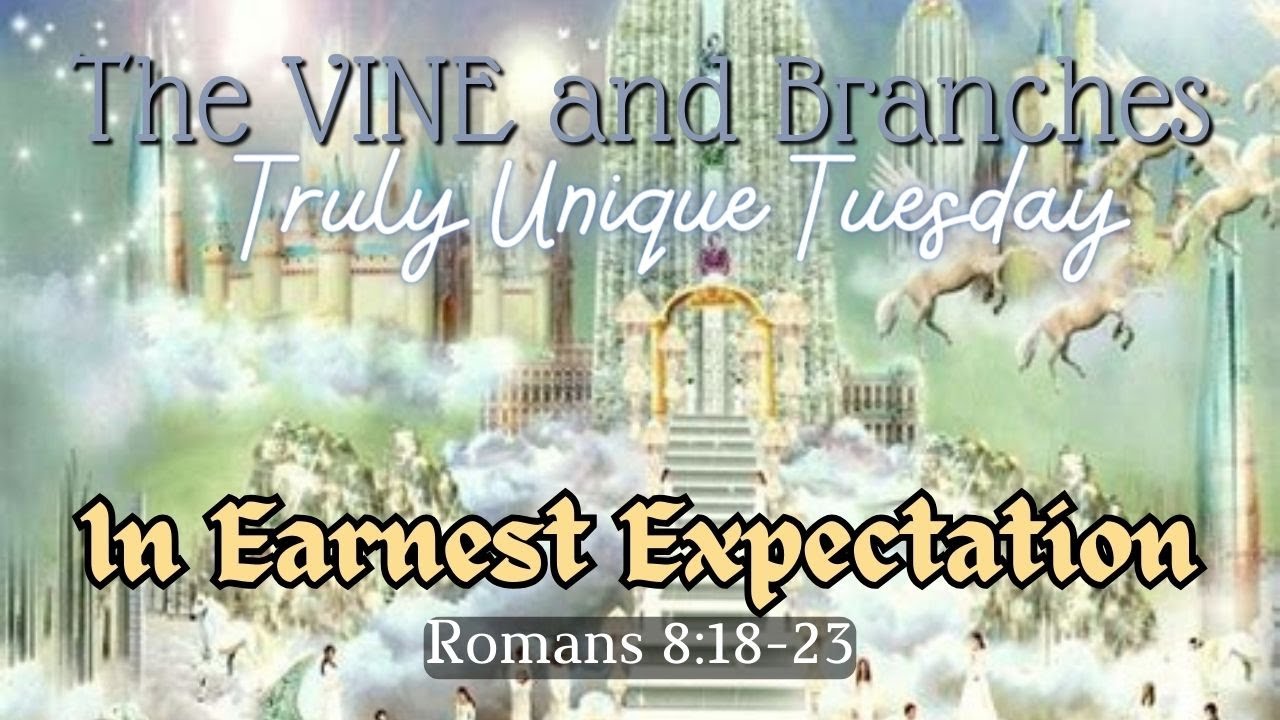 In Earnest Expectation_The VINE and Branches - YouTube