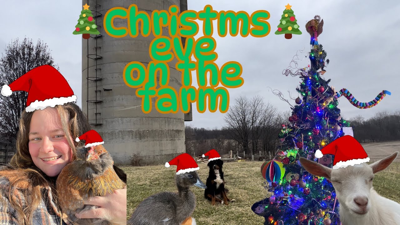 Christmas Eve on the farm! 🎄Chores, puppies, New Ducks, and Wrapping ...
