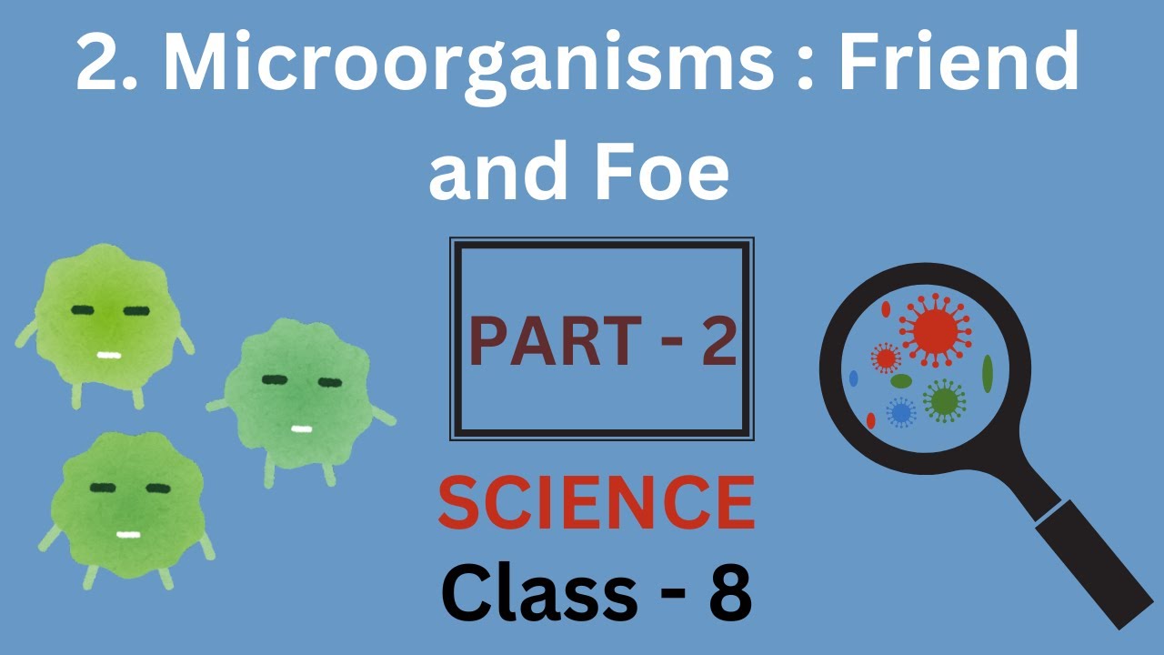 Microorganisms : Friend and Foe (part-2) | Chapter 2 | Class 8 Science ...