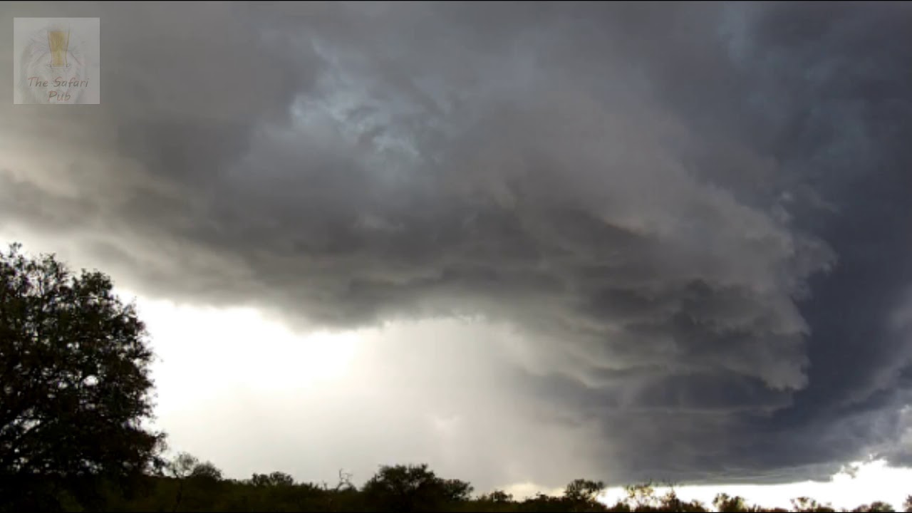 Thunderstorm and some Bats - YouTube