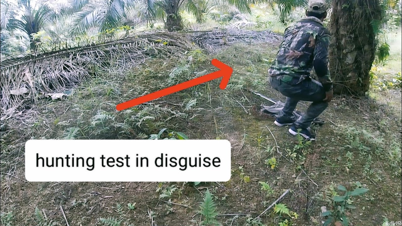 Sniper Camo hunting test in disguise - YouTube