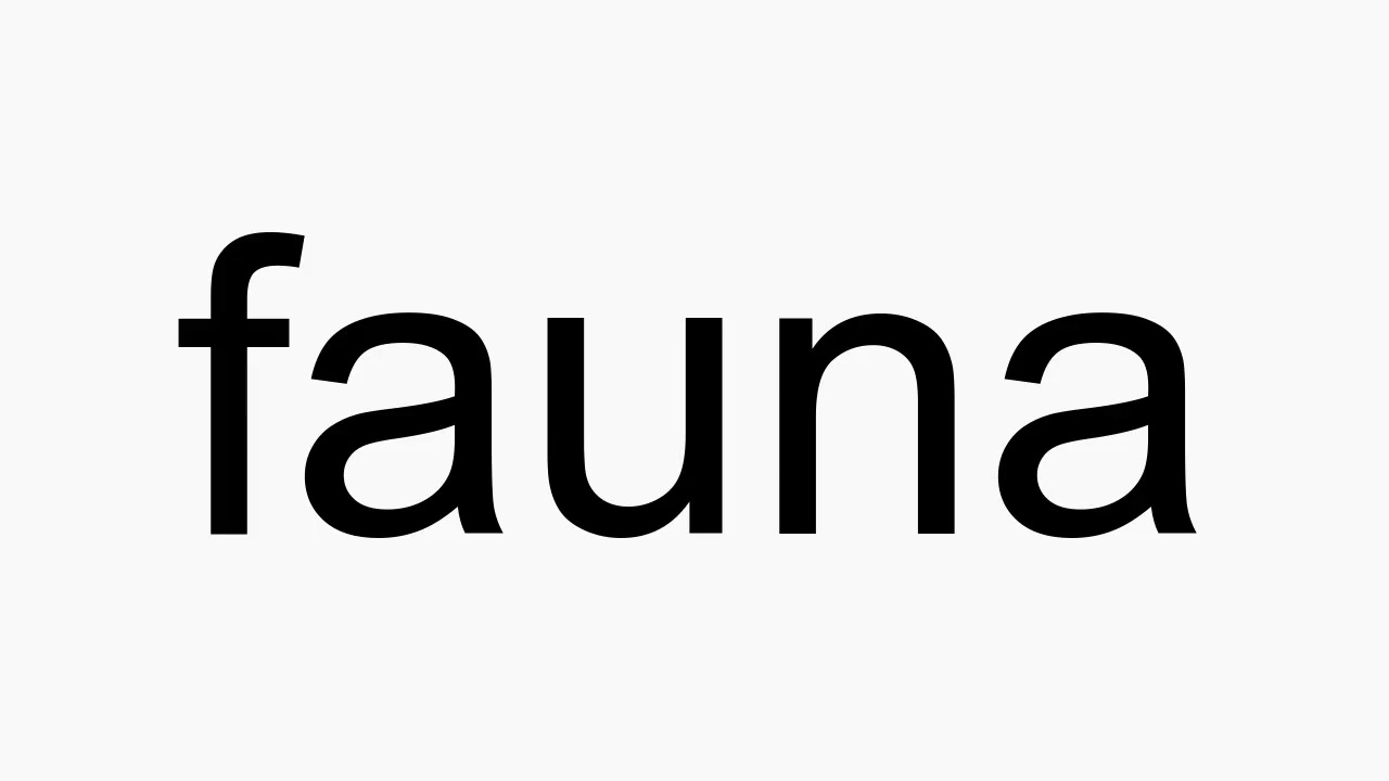 How to pronounce fauna - YouTube