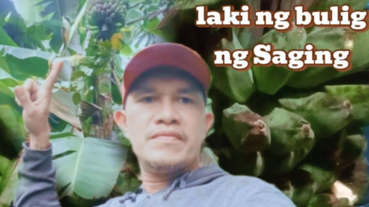 Laking Bulig Ng Saging || Bukid Life || JFCTV - YouTube