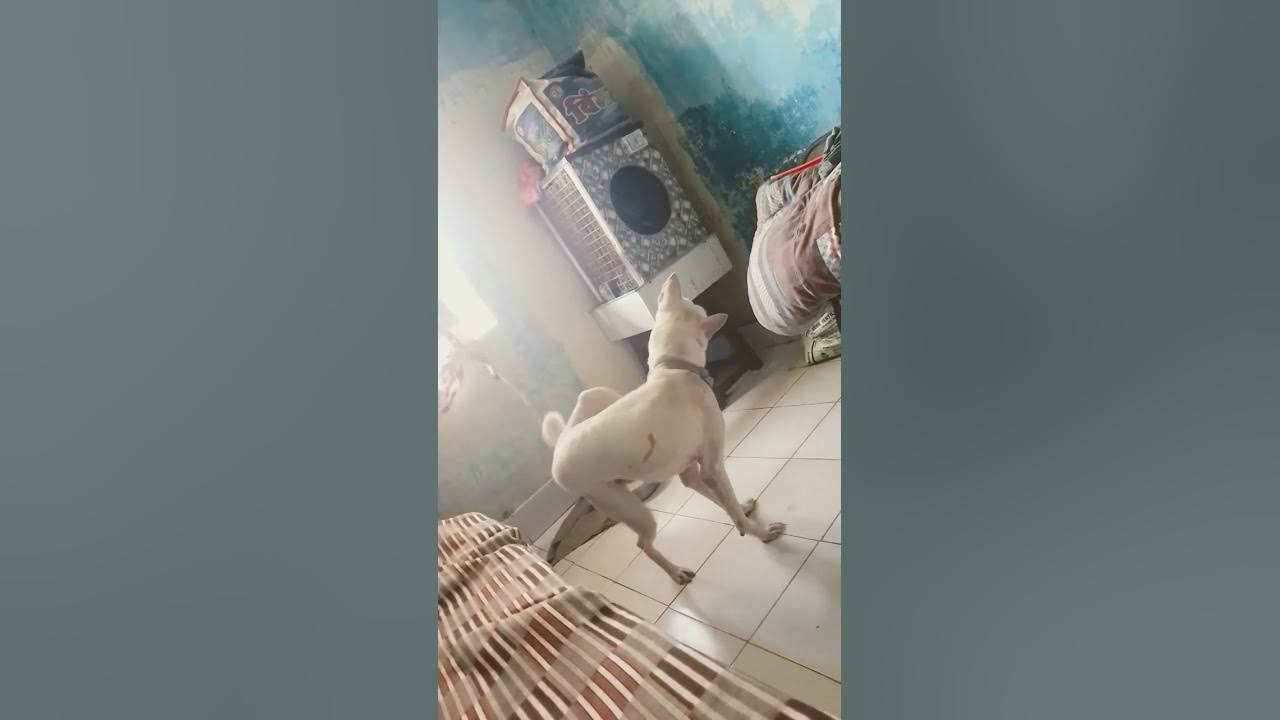 March 9, 2025 - YouTube