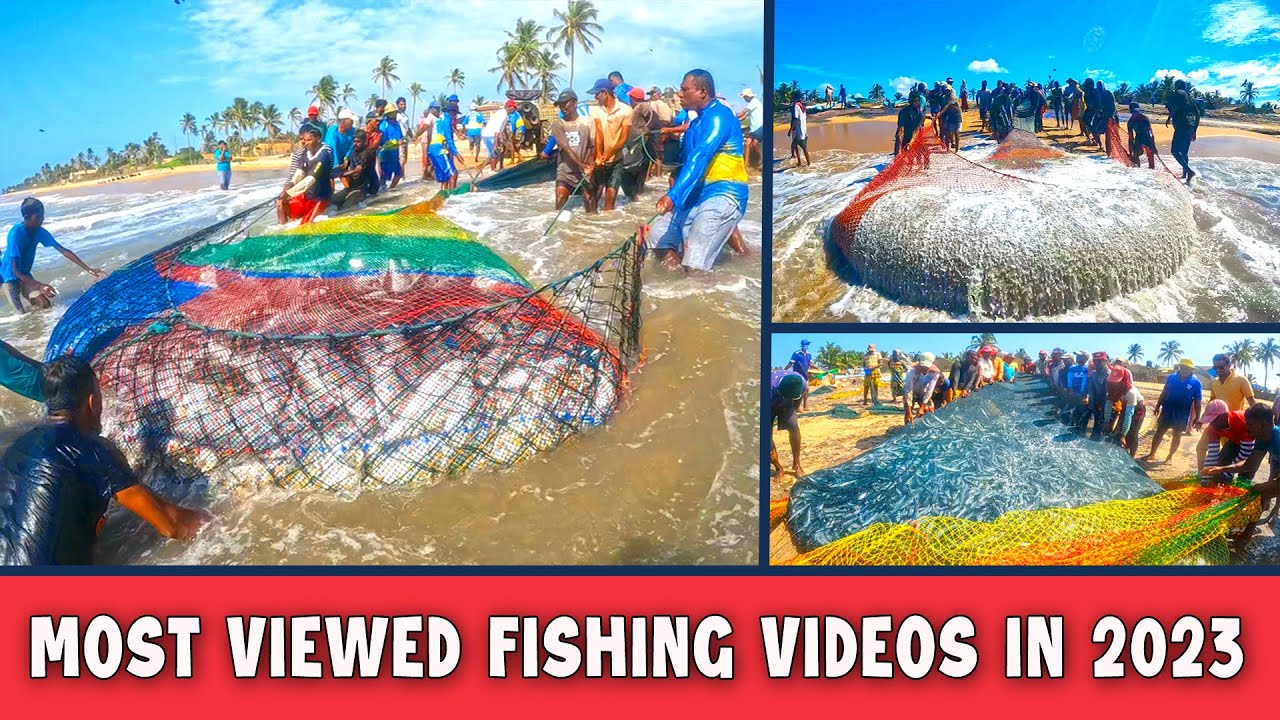 Top 03 Most Viewed Fishing Videos In 2023 I Unbelievable Fishing Videos ...