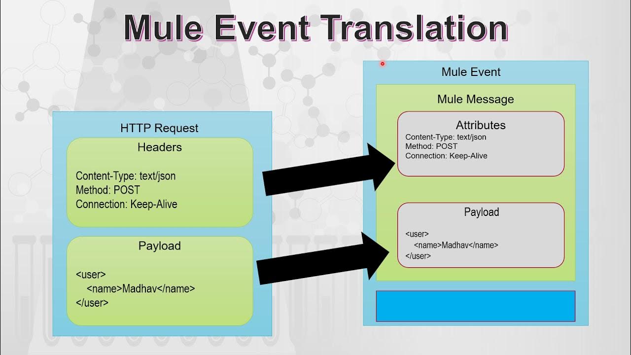What is Mule Event? - YouTube