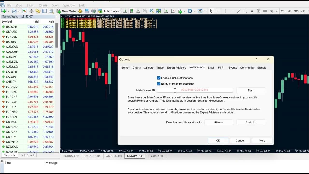 Enable MT4 push notifications on MetaTrader - YouTube