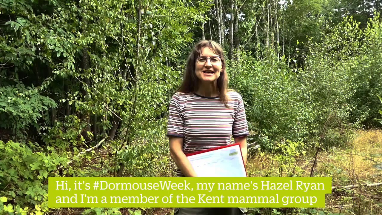#DormouseWeek: Hazel Ryan - YouTube