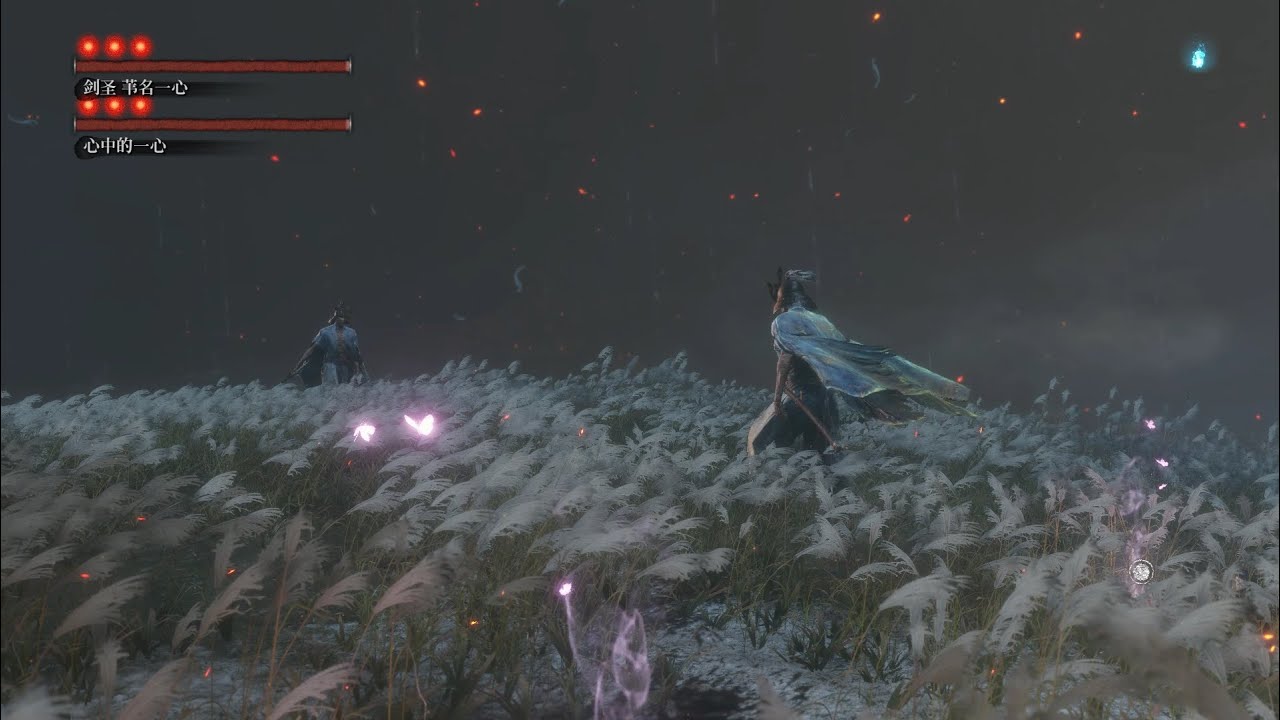 inner isshin VS sword saint isshin - YouTube