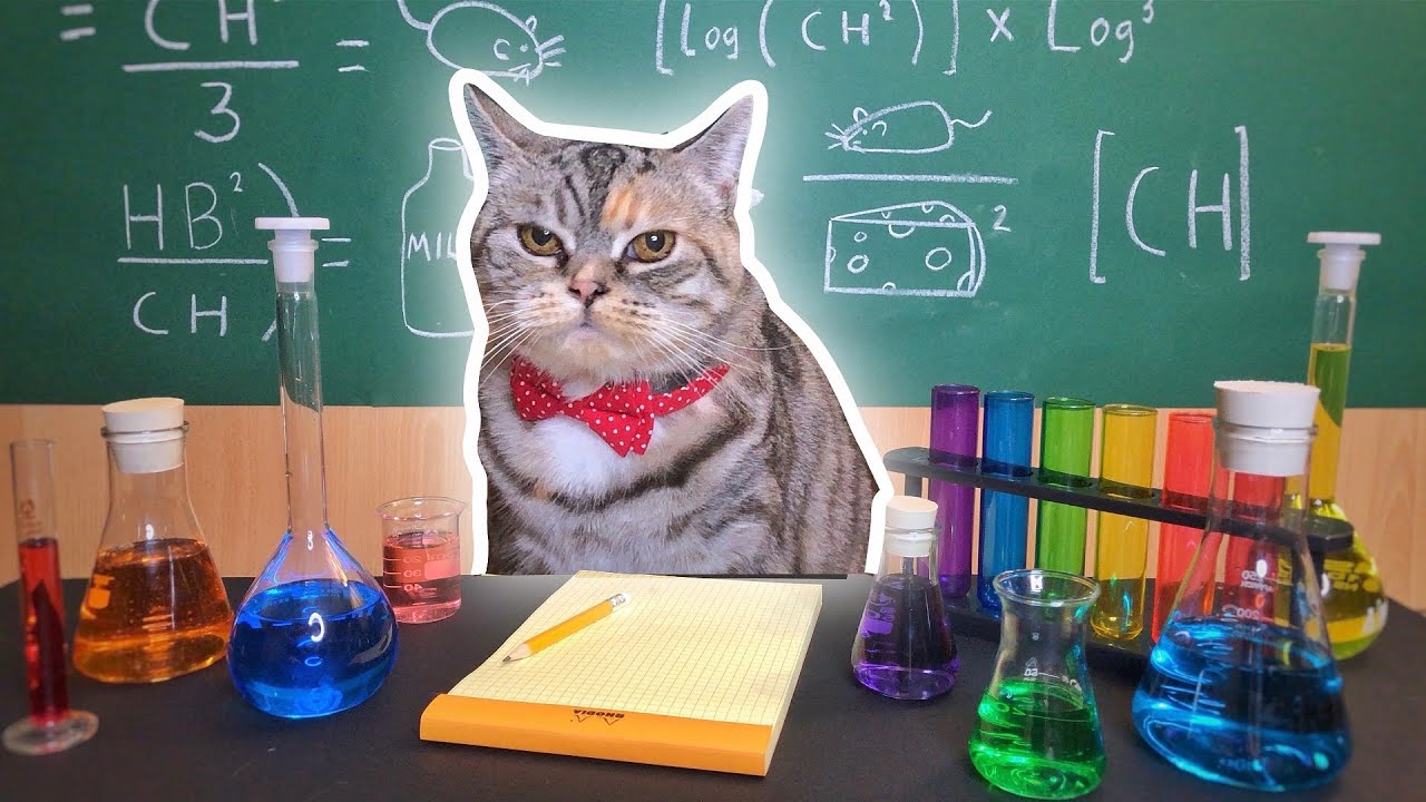 Science Cat Meme Chemistry