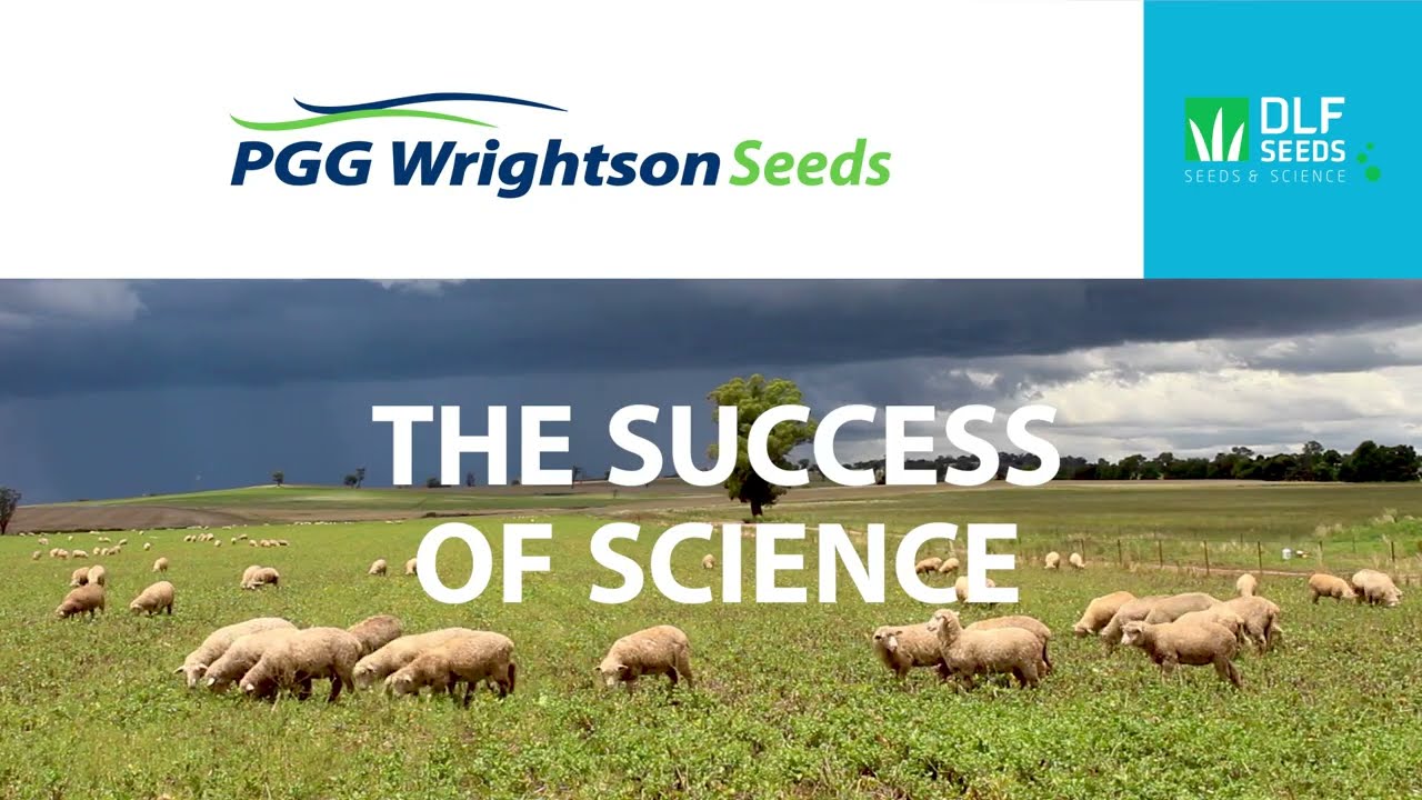 Pallaton Raphno® in Elong Elong NSW - YouTube