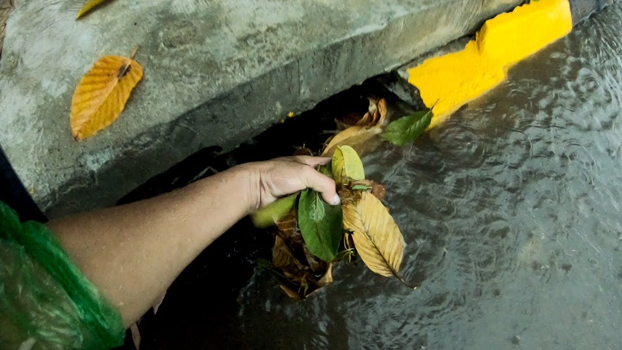 Remove Leave Flow Clogged Drain Flood Rain On Street Road - YouTube