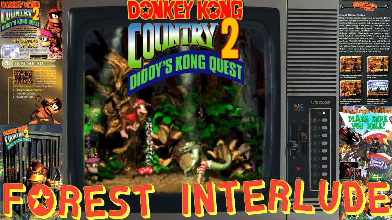 Donkey Kong Country 2 (Music) - Forest Interlude - YouTube
