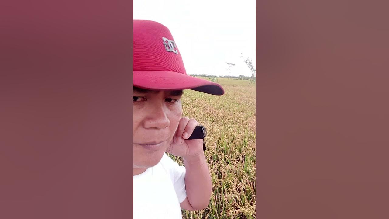 Spiil padinya yg siap diaret ms halip barokallah🙏🙏😭amin - YouTube