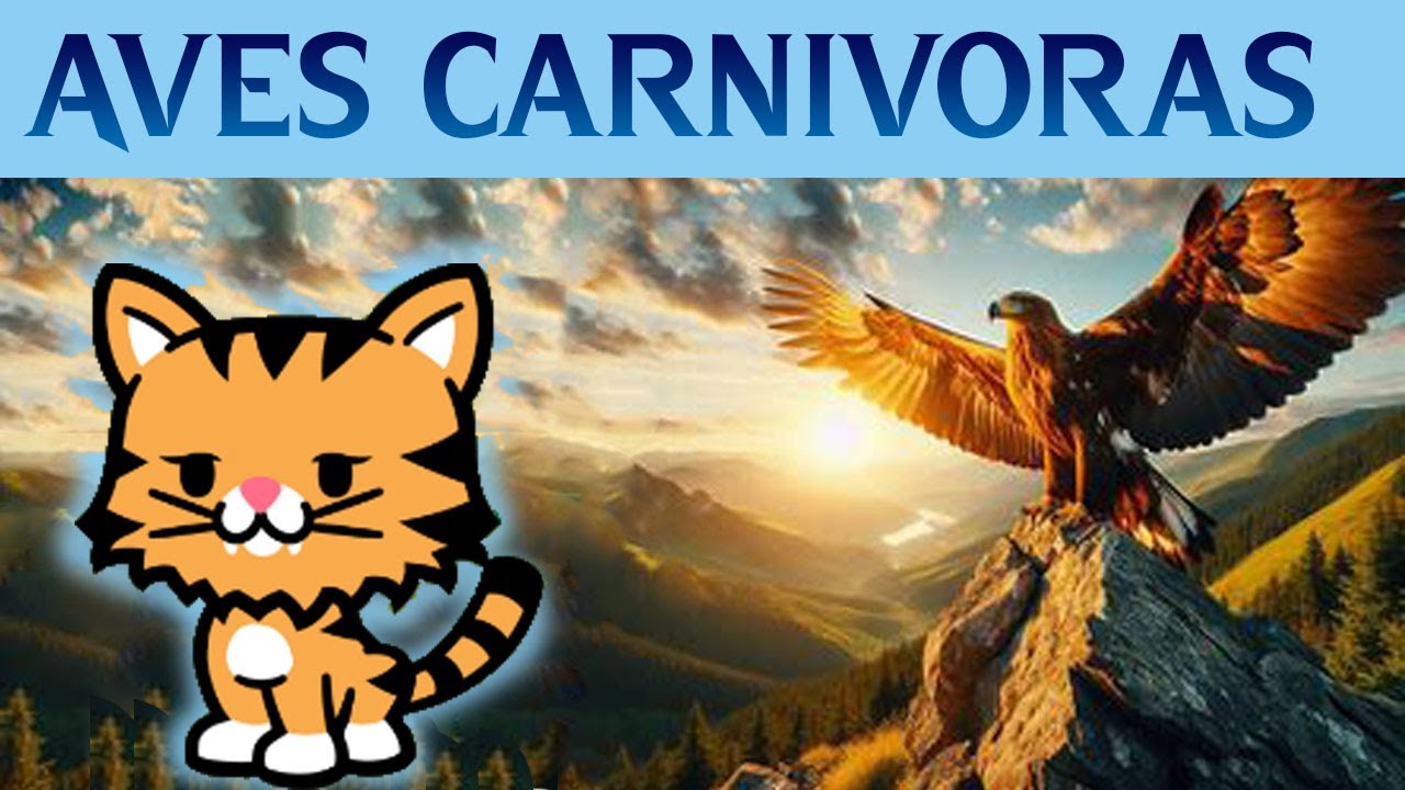 Video Educativo - Aves Carnívoros - Gatom - YouTube