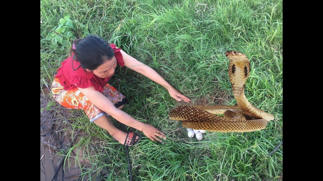 Primitive Technology: Survival skill cooking in the forest ,Wilderness ...