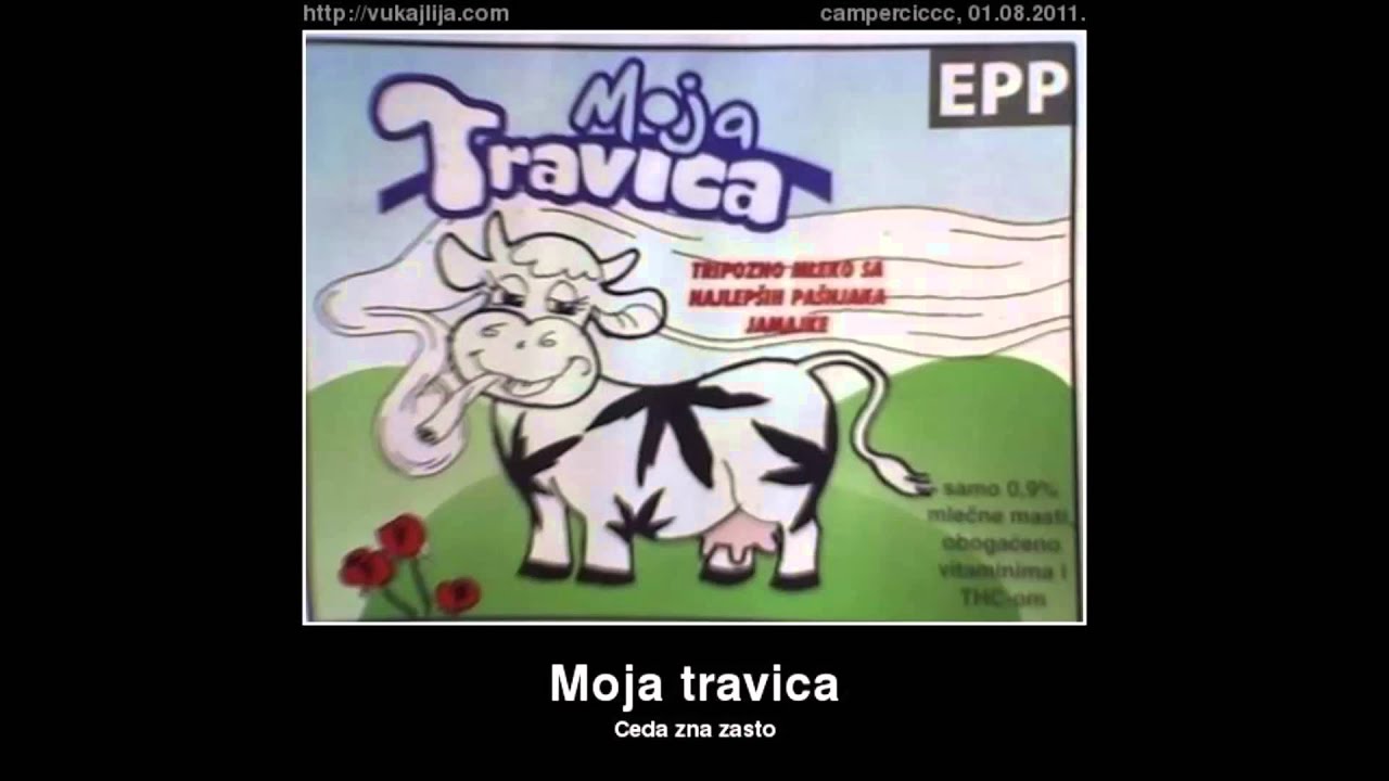 RASTA LEGALIZUJ I MOJA TRAVICA - YouTube