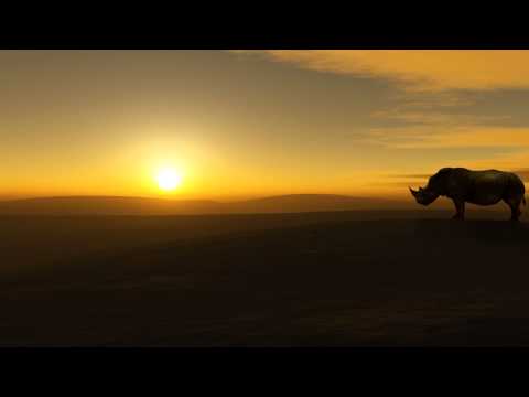 James Newton Howard - Blood Diamond