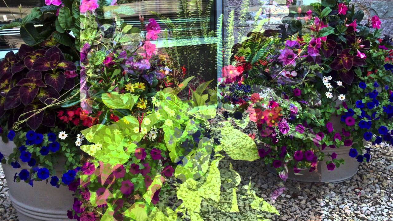 Flower Ideas (part 1) - by Maple Crest Landscape, Medina MN - YouTube