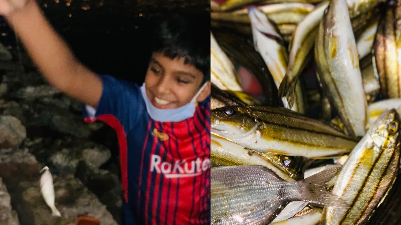 മീൻ പിടിക്കാൻ പോയാലോ|| Fishing at Murjan Island 🏝 Dammam - YouTube